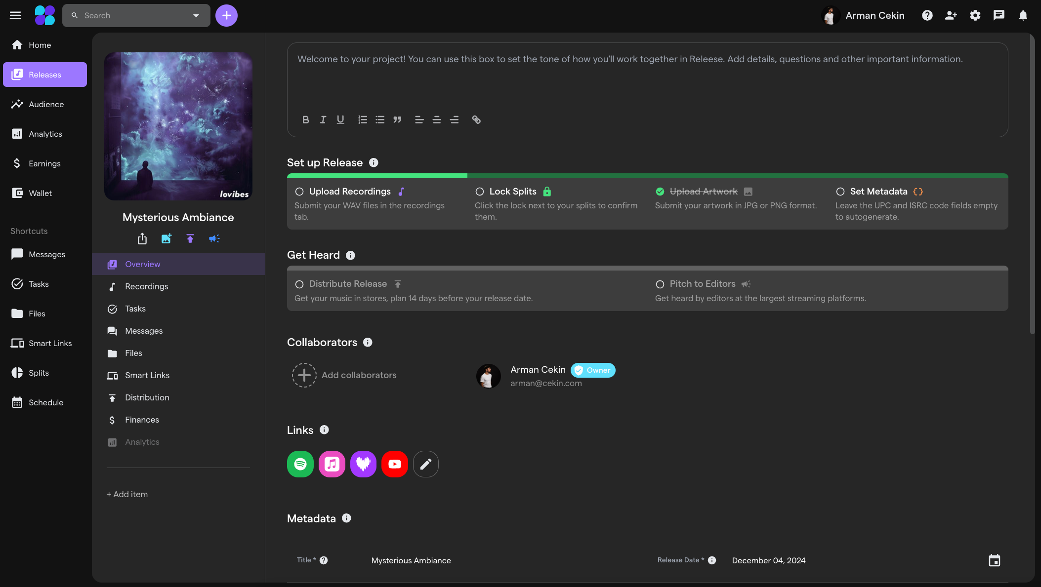 Releese | Earn more streams, fans, and royalties, all in one place